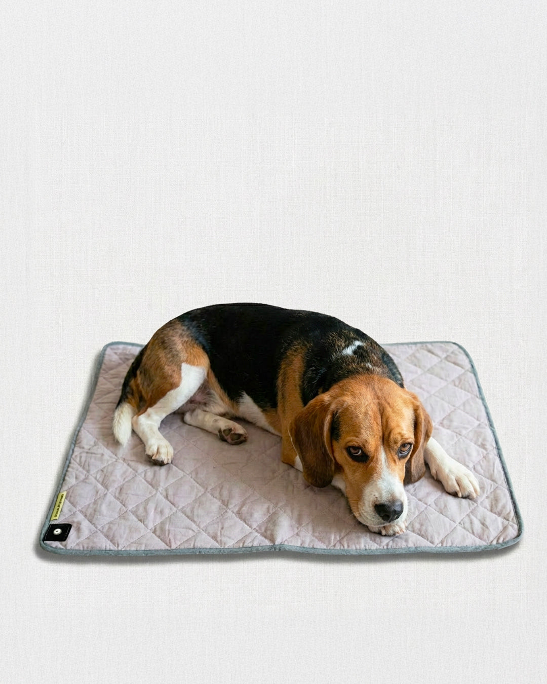 Grounding Pet Mat – Down To Ground